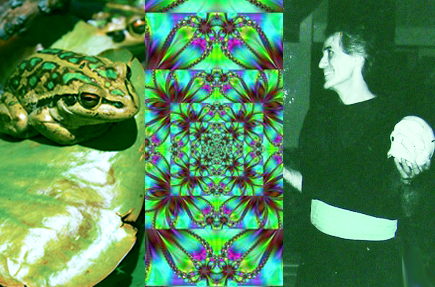 22 Sep – 6 Oct Healing Through Love – Adima's Blog